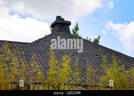 Japanese architectural style brick roof Stock Photo - Alamy