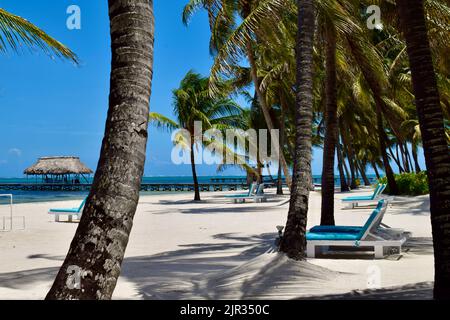 A typical view on Ambergris Caye, San Pedro, Belize of a beach, lounge ...