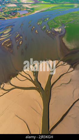 NANCHANG, CHINA - AUGUST 21, 2022 - An aerial photo shows a tree-shaped ...