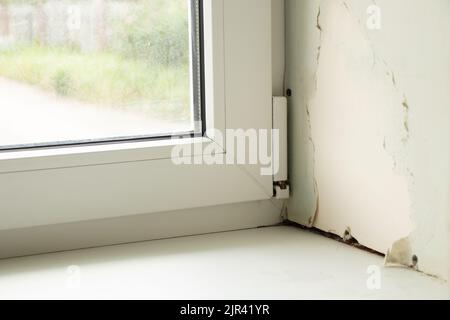 dirty window with a sill with mold from dampness, fungus on the window ...