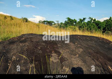 Partial view of the Lope National Park located in Booue(Central Gabon ...
