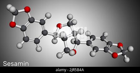 Sesamin molecule, illustration Stock Photo - Alamy