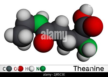 Theanine, theanin molecule. It is neuroprotective agent, plant ...