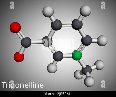 Trigonelline molecule, illustration Stock Photo - Alamy