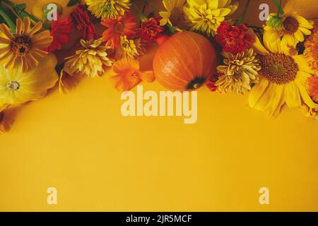 Colorful autumn flowers, pumpkins, pattypan squashes flat lay on yellow ...