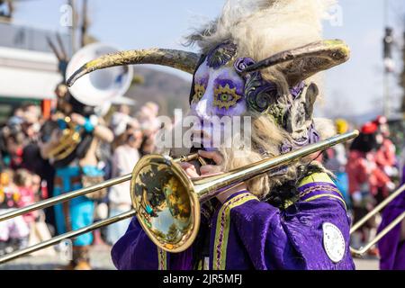 Fasnacht in Liestal Brauchtum Fasching Waggis Karneval Tradition Stock ...