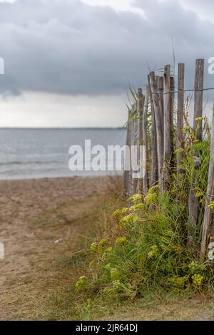 very nice walk along the coastal path of Brittany Stock Photo - Alamy