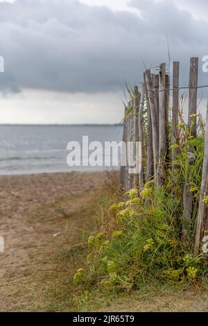 very nice walk along the coastal path of Brittany Stock Photo - Alamy