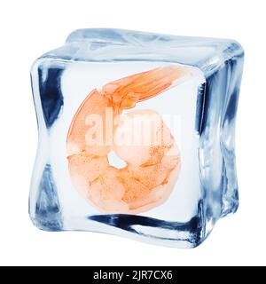 ice cube with frozen shrimp on blue background Stock Photo - Alamy