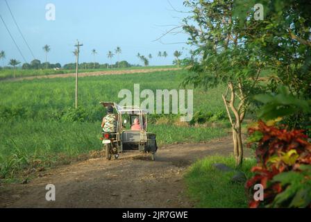 Trike carrying passengers, Sugar Cane Farm, Cadiz City, Negros ...