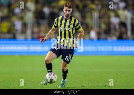 ISTANBUL, TURKEY - AUGUST 22: Ismail Yuksek of Fenerbahce during the ...