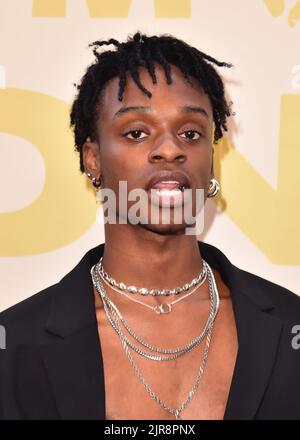 Austin Crute walking the red carpet at the premiere of "Honk For Jesus ...