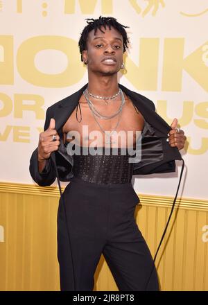 Austin Crute walking the red carpet at the premiere of "Honk For Jesus ...