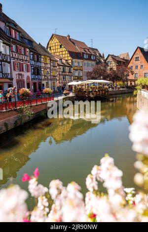 charming oldtown of Colmar in Alsace Stock Photo - Alamy
