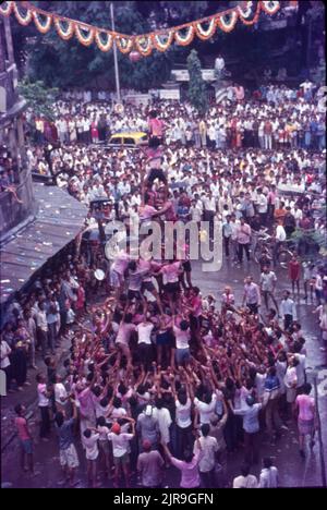 Janmashtami, Krishna's Birthday Celebration, Govinda's creating Pyramid ...