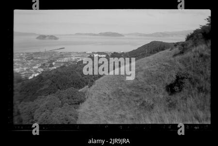 Petone and Harbour from hills above Percy Scenic Reserve, 08 April 1957 ...