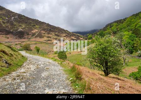 The Watkin path leading up into Cwm Llan above Nantgwynant in Snowdonia ...