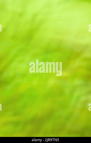 Green haze bokeh backdrop. Green olive color blurred motion out of ...