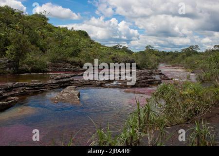 The Cano Cristales river, known as the Rainbow River, in the Serrania ...