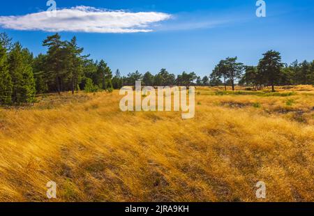 The desertic landscape of the Curonian Spit, Lithuania Stock Photo - Alamy