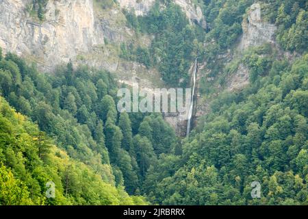 Perućica Forest Reserve in Sutjeska national Park, Bosnia and ...