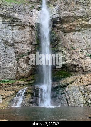Perucica Forest Reserve is one of the last remaining primeval forests ...