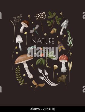 Autumn wild berries card vector watercolor. Isolated background ...