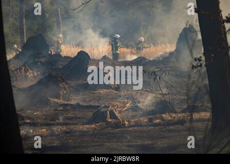 Raunheim, Germany. 23rd Aug, 2022. Firefighters fight a forest fire ...