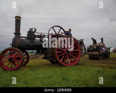 Traction engine towing a steamroller out of the mud at the Launceston ...