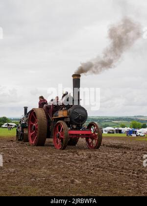 Traction engine towing a steamroller out of the mud at the Launceston ...