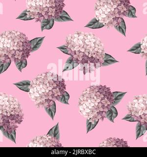 Seamless botanical pattern with pink hydrangeas. Vector Stock Vector Image & Art - Alamy