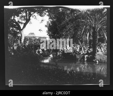 Zoological Gardens and Giza, 1915, Egypt, by William Saunderson Cooper ...