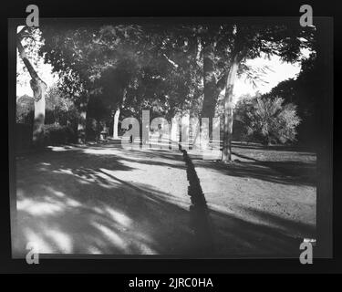 Zoological Gardens and Giza, 1915, Egypt, by William Saunderson Cooper ...