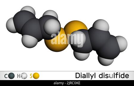 Diallyl disulfide garlic molecule. 3D rendering. One of the compounds ...