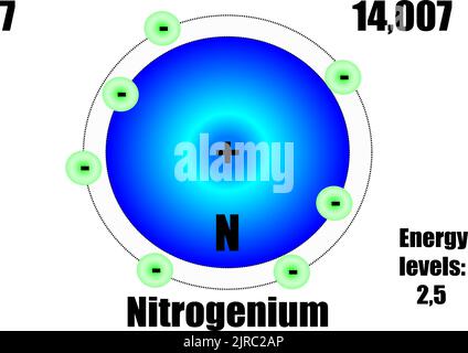 Nitrogen atom, with mass and energy levels. Vector illustration Stock ...