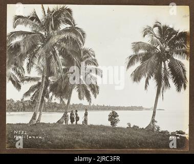 Village view in Samoa, circa 1880, digitally enhanced reproduction of a ...