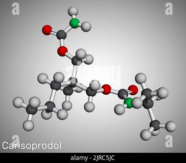 Carisoprodol. Molecular model of the muscle relaxant drug carisoprodol ...