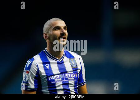 Callum Paterson #13 of Sheffield Wednesday Celebrates scoring a goal to ...