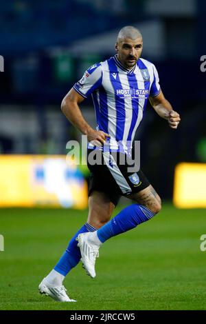 Callum Paterson #13 of Sheffield Wednesday Celebrates scoring a goal to ...