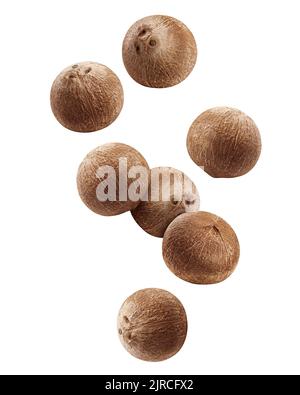 Falling coconuts isolated on white background Stock Photo - Alamy