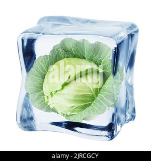 Cabbage isolated on transparent background Stock Photo - Alamy
