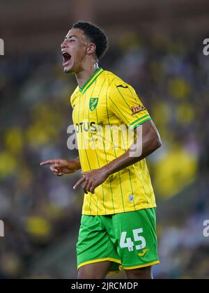 Norwich City's Jonathan Tomkinson during the Carabao Cup second round ...