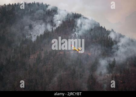 Firefighting airplane with water from a lake to extinguish wildfire in ...