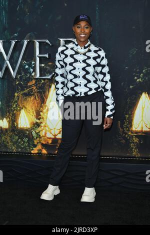 Jerrie Johnson attends 'The Lord of the Rings: Rings of Power' TV show ...