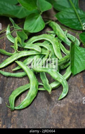 lablab purpureus bean in wooden bowl isolated on white Stock Photo - Alamy