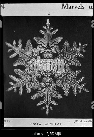 Snow Crystals, 1912 - 1926, by James McDonald Stock Photo - Alamy