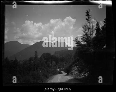 Buller Road, 1906, by Fred Brockett Stock Photo - Alamy