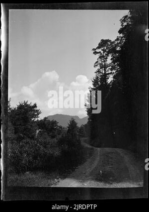 Buller Road, 1906, by Fred Brockett Stock Photo - Alamy
