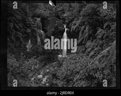 Buller Road, 1906, by Fred Brockett Stock Photo - Alamy