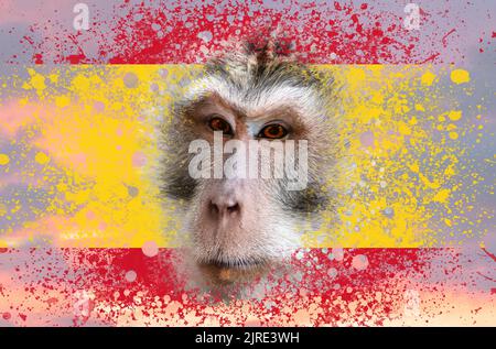 Monkeypox virus. Spain flag background. Epidemic concept. Virus ...